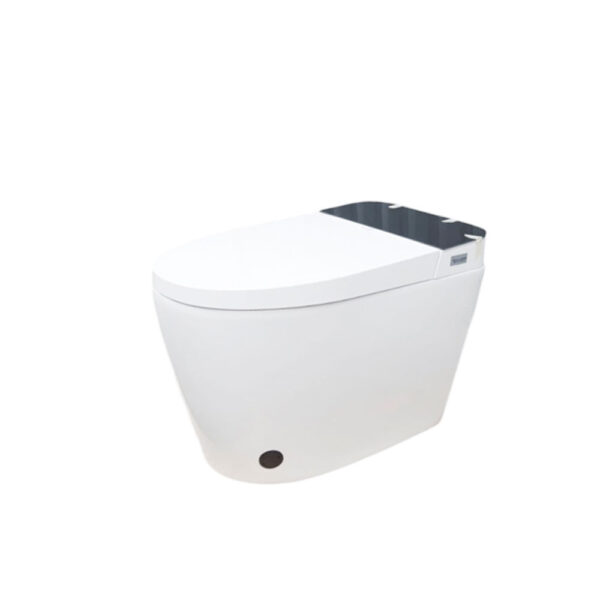 Wc inodoro Inteligente Descarga muro – con control remoto – Dechaus